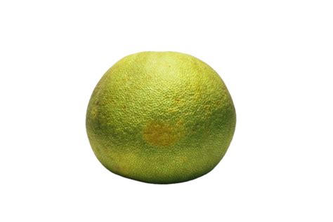 Toronja Madura Png Vectores Psd E Clipart Para Descarga Gratuita Pngtree
