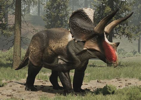 Eotriceratops Path Of Titans Wiki