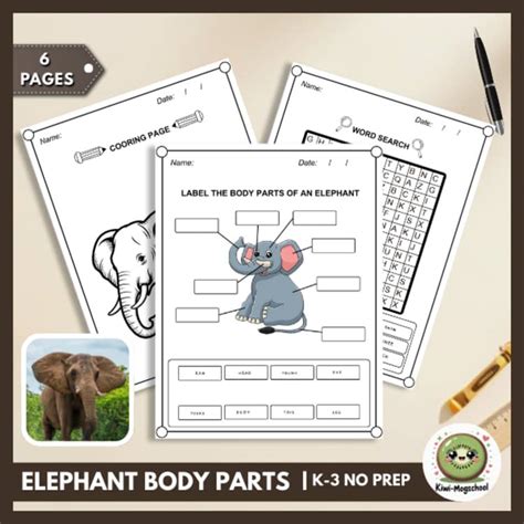 K 3 Elephant Body Parts Labeling Diagram Worksheets Savanna Science