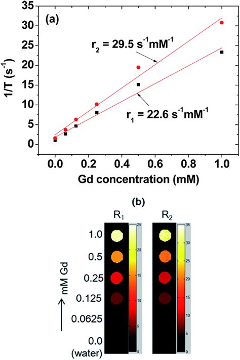 Magnetic Resonance Imaging Gadolinium Neutron Capture Therapy And