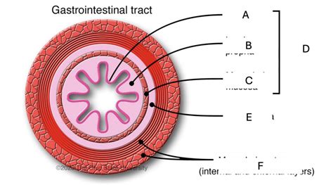 Diagram Of Git Structures Quizlet