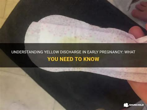 Understanding Yellow Discharge In Early Pregnancy What You Need To