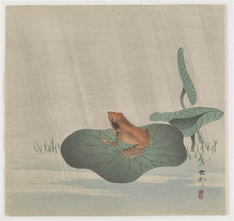 The Art And Science Of Frogs Smithsonian Institution