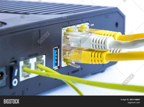 Backside View Dual Image Photo Free Trial Bigstock