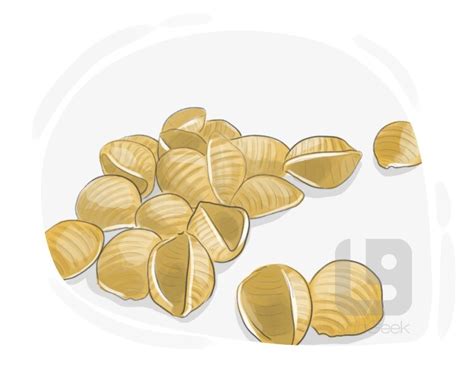Definition And Meaning Of Shell Picture Dictionary