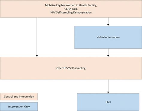 Evaluation Of Video Assisted Hpv Education In Government Supported