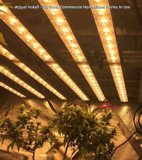 Led Grow Lights Shop Full Spectrum Led Grow Lights Led Light Expert