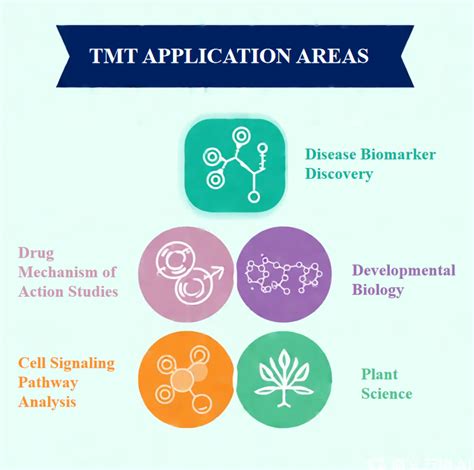 Tmt Proteomics Analysis Service Mtoz Biolabs