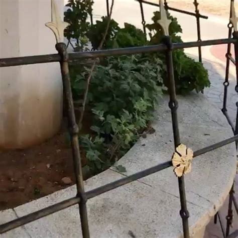 Mass Decor Home Facebook