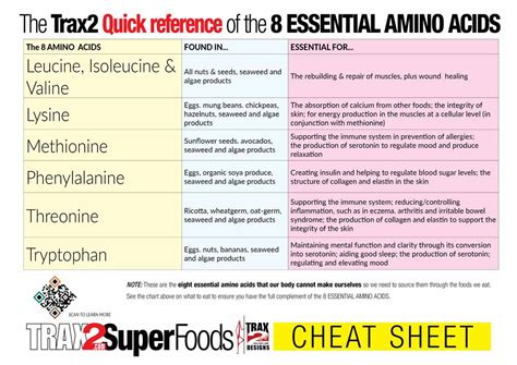 The 8 Essential Amino Acids Quick Reference Foods Which Are Good For You