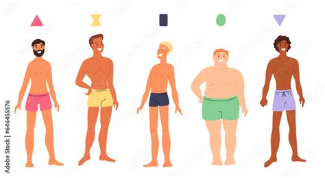 Human Body Shapes Types Male Figures Different Proportions Guys In