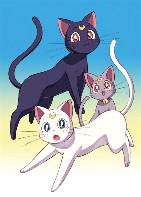 Artemis Sailor Moon Wallpaper Sailor Moon Cat Sailor Moon Luna The