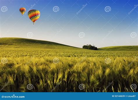 Balloon Over The Field Stock Image Image Of Agriculture 52144639