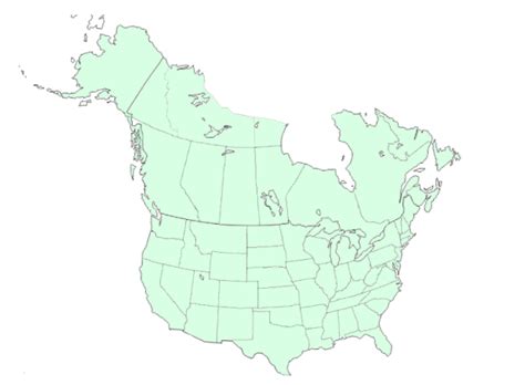 4 Types Of Cockroaches Found In Alberta Id Guide Bird Watching Hq