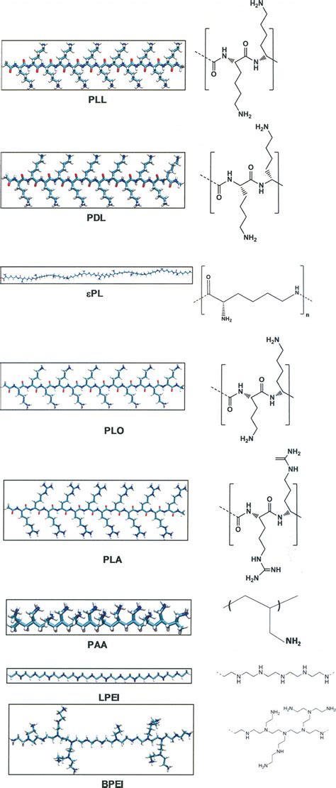 Chemical Structures Of Cationic Polymers Used In This Work Shown Are Download Scientific