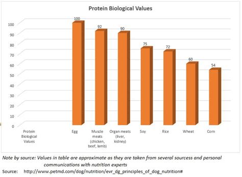 What Is Digestibility And Why Does It Matter