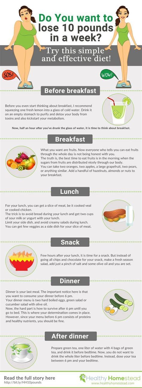 The Basics Of The Belly Fat Diet Plan Dummies Diet And Exercise