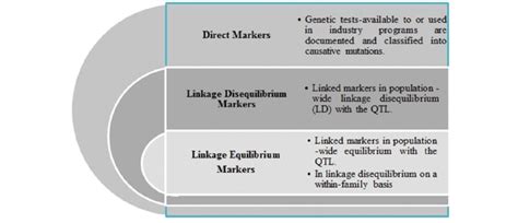 Classification Of Markers On The Basis Of Relationship Between The