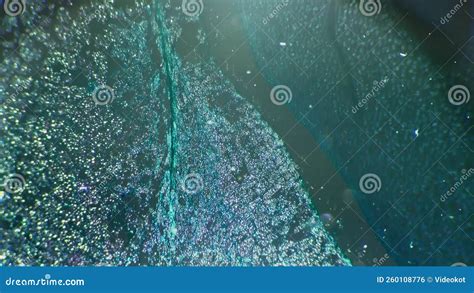 Longitudinal Section Of Zea Mays Seed Under Microscope Magnified In 100x Filmed With Cross Light