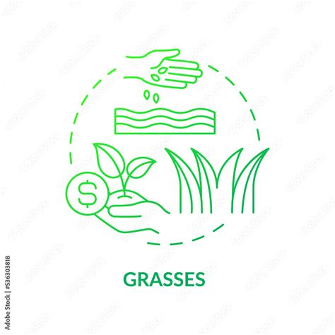 Grasses Green Gradient Concept Icon Growing Switchgrass Abstract Idea