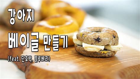 엄청쉬움강아지 베이글 만들기 단호박 블루베리 베이글 강아지 간식만들기 Youtube