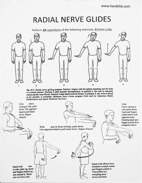 Discover 62 Ulnar Nerve Glides And Ulnar Nerve Ideas Hand Therapy