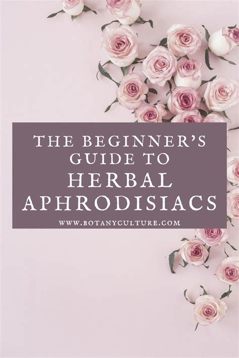 A Beginners Guide To Herbal Aphrodisiacs Aphrodisiac Herbalism