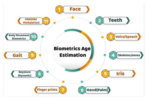 Dental Age Estimation Using Deep Learning A Comparative Survey