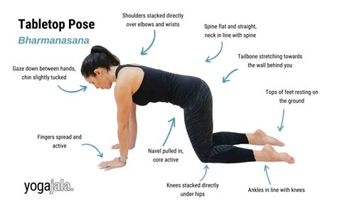 Benefits Of Table Top Pose At Johanna Reed Blog