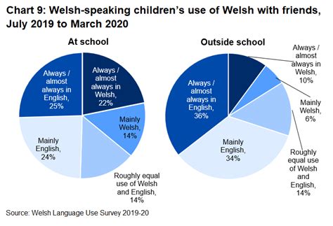 Social Use Of The Welsh Language July 2019 To March 2020 Html Gov