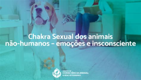 Chakra Sexual Dos Animais Não Humanos Emoções E Insconsciente Blog Centro De Consciência