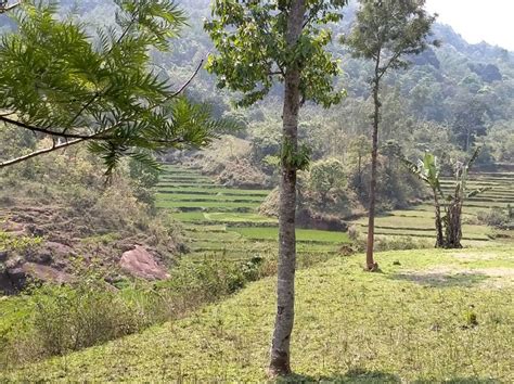 Subba Reddy On Linkedin Always