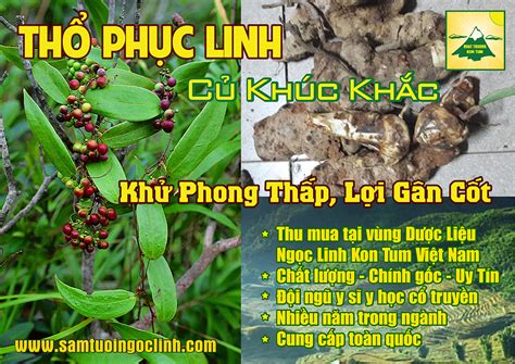 Thổ Phục Linh