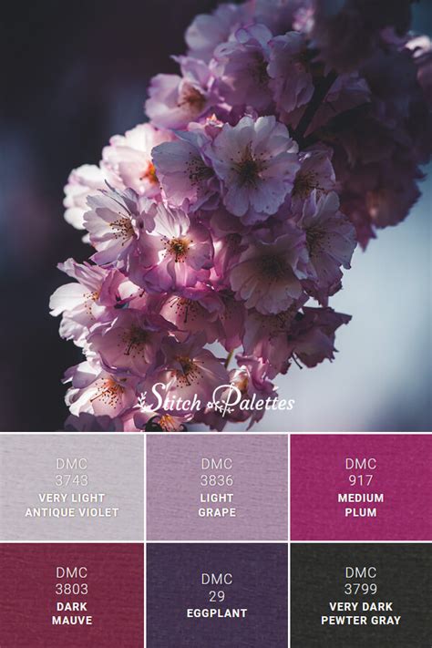 Cherry Blossom Color Code