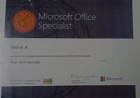 Nisha R On Linkedin Excel Certified With Skills In Data Modeling