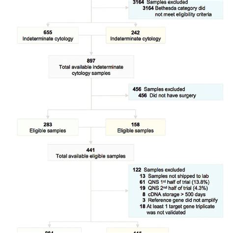 Exclusion Process Flowchart Color Images Are Available Online