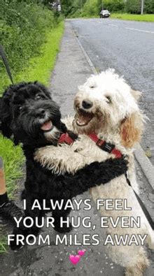 Hug Funny S Tenor
