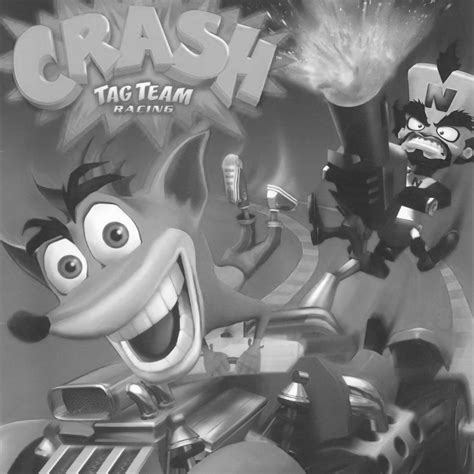 Crash Tag Team Racing Crash