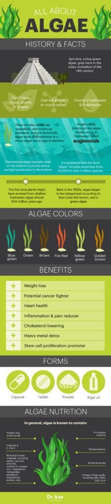 Algae Health Benefits Nutrition And Dosage Dr Axe