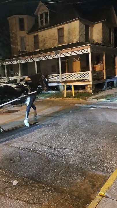 St Augistine Florida Youtube