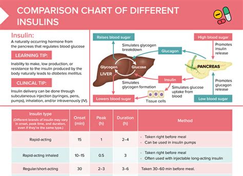 Comparison Insulin Onset Of Action