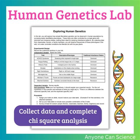 Human Genetics Lab By Anyone Can Science Tpt