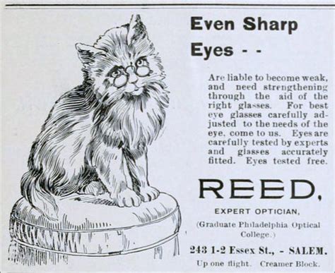 Even Sharp Eyes Even Sharp Eyes Are Liable To Become Flickr