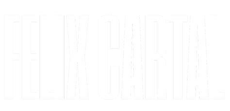 There Is No Perfect — Felix Cartal