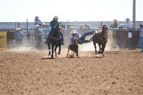 Gallery — New Mexico Rodeo Association