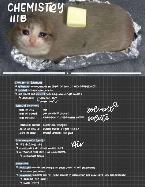 Chemistry 111b Stephen Mezyk Chemistry 111 B Chapter 14 Solutions Solution Homogenous