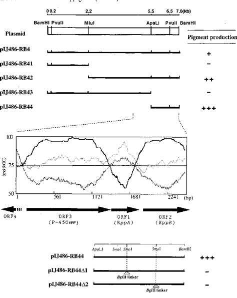 Streptomyces Griseus Semantic Scholar