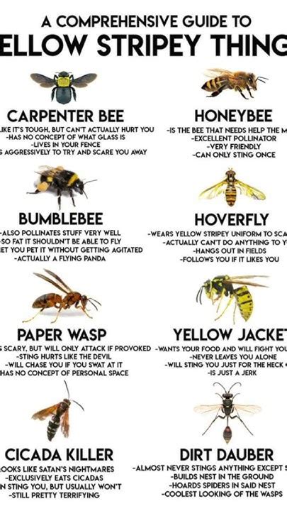 Have Any Of These Stinged You Youtube