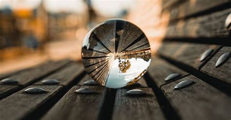 Danielle Dipardo Posted On Linkedin