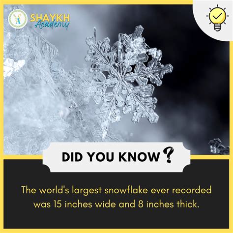 Did You Know The Worlds Largest Snowflake Ever Recorded Was 15 Inches